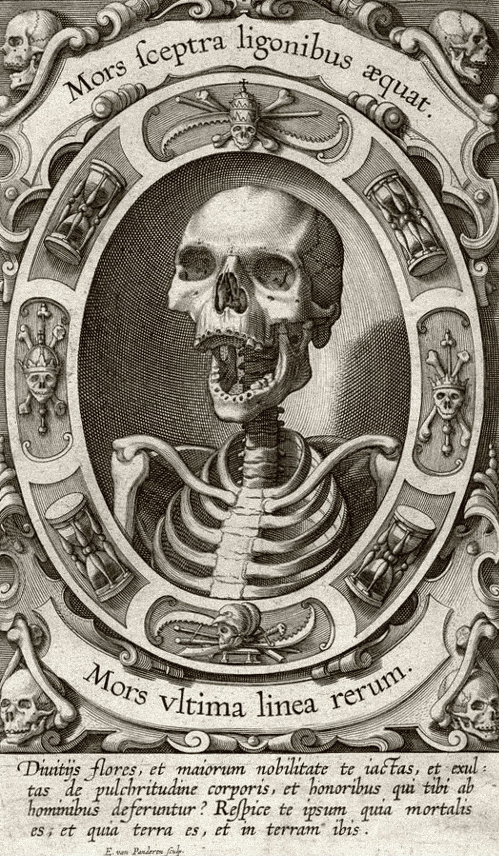 Memento Mori Card Collection 10 Designs Blank Birthday Halloween ...