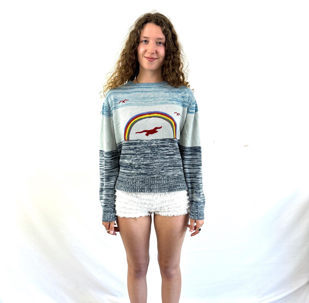 Vintage 1970s 70s RARE Novelty Rainbow Seagull Ocean Distressed Sweater ...