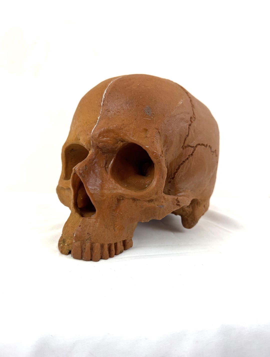 Vintage Sawbones Medical Model Human Head Skeleton Steal Your Face ...