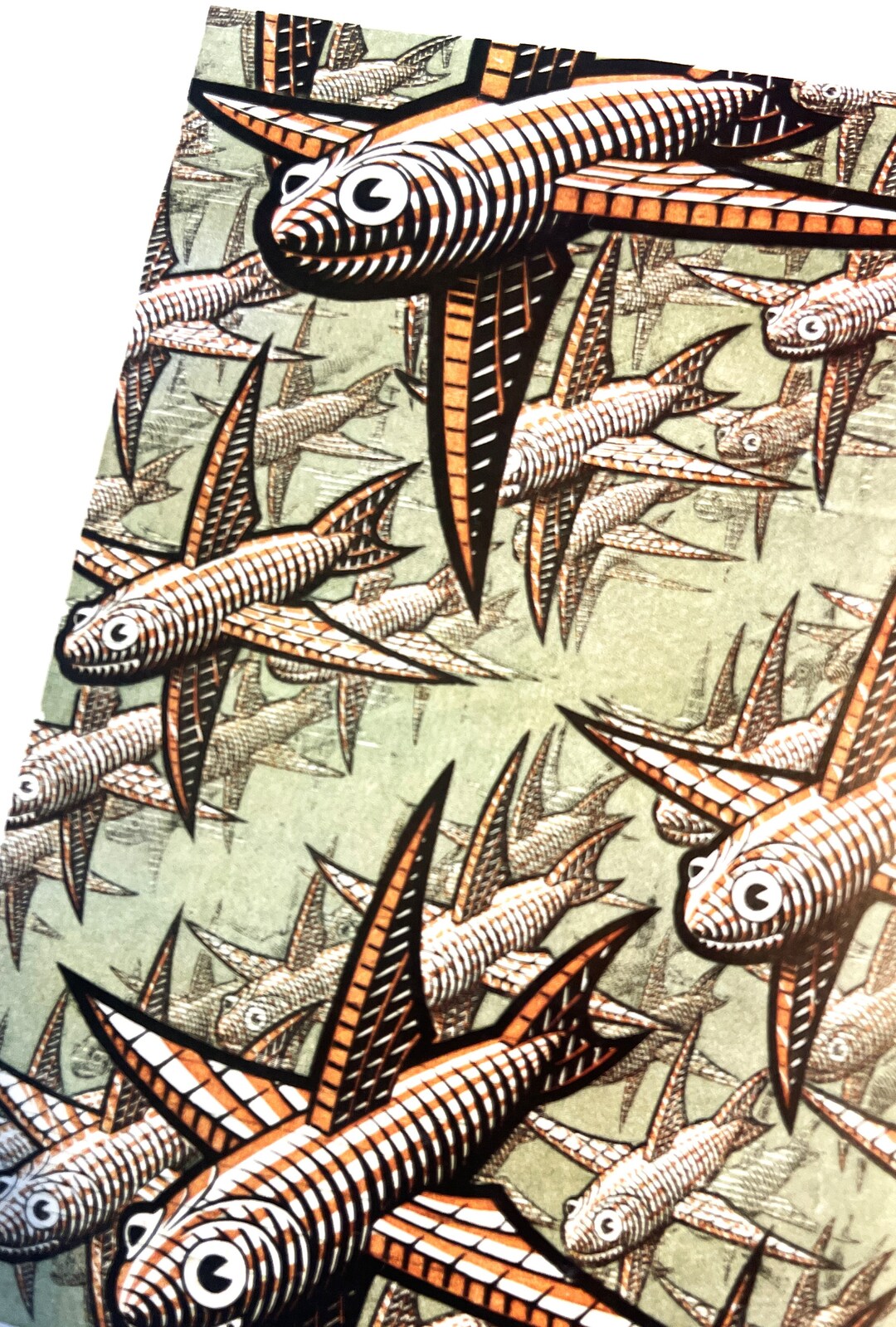 Vintage 1970s 70s 1971 M.C. Escher in Poster - Flying Fish Depth ...