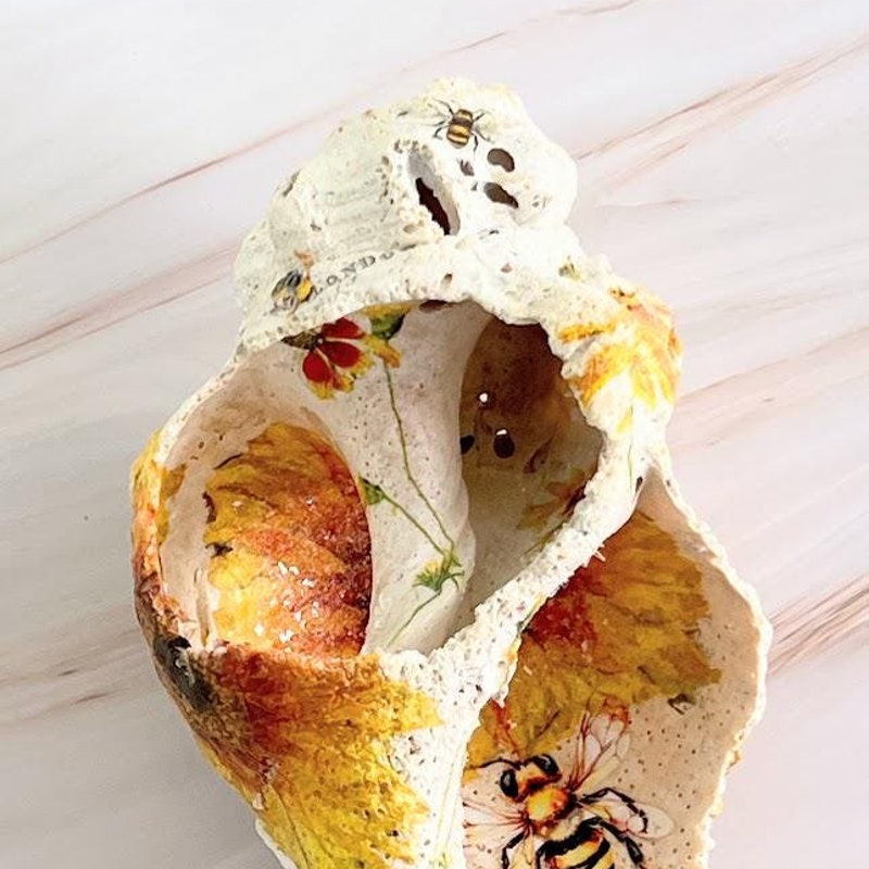 Decoupage Conch Shells - Etsy