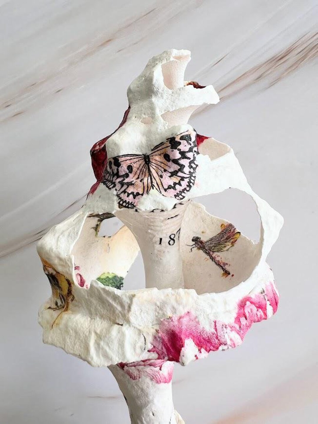 Horse Conch Shell, XL, Coffee Table, Shelf Art, Floral, Pink, Beach ...