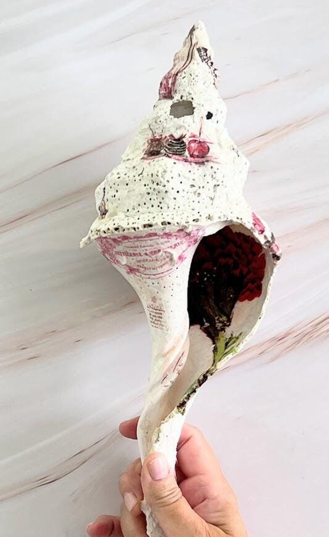 Horse Conch Shell XL Coffeetable, Shelf Art, Unique, Pink, White, Beach ...