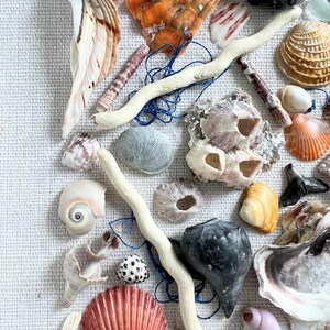 Seashell Wall or Shelf Art, Unique, Colorful, Modern, Florida Beach ...