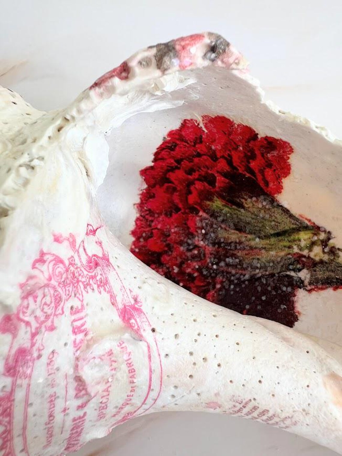 Horse Conch Shell XL Coffeetable, Shelf Art, Unique, Pink, White, Beach ...