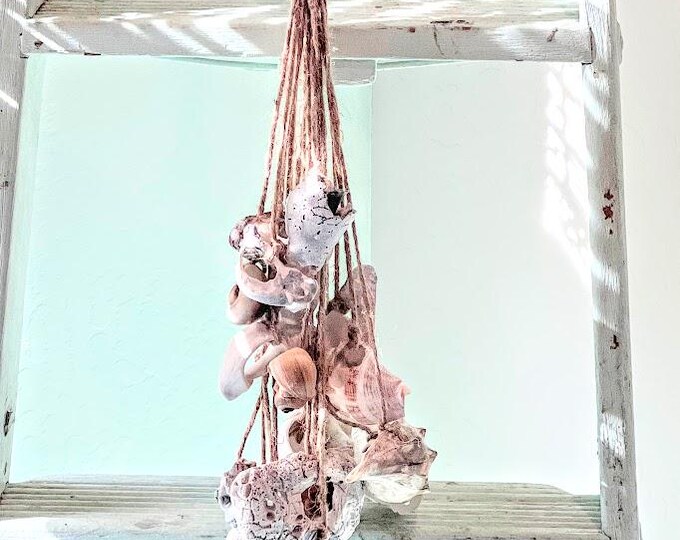 Seashell Hanging Wall Art, Unique, Neutral, Florida Beach, Ocean ...
