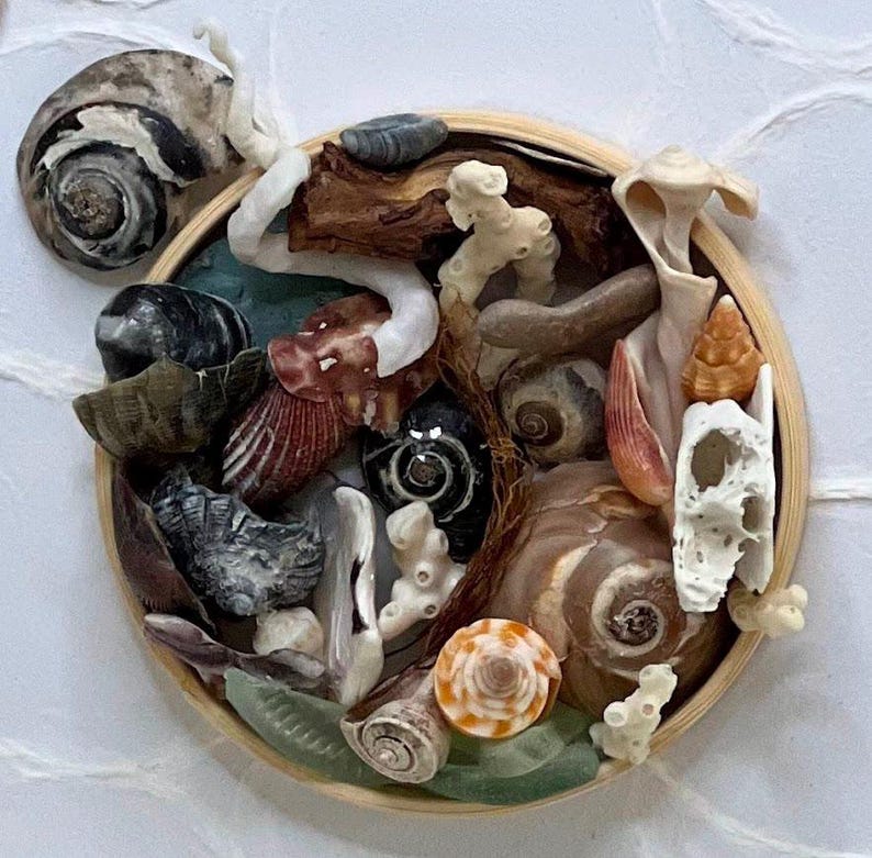 3D Seashell Wall Art, Colorful, Mosaic, Modern, Florida Beach, Ocean ...