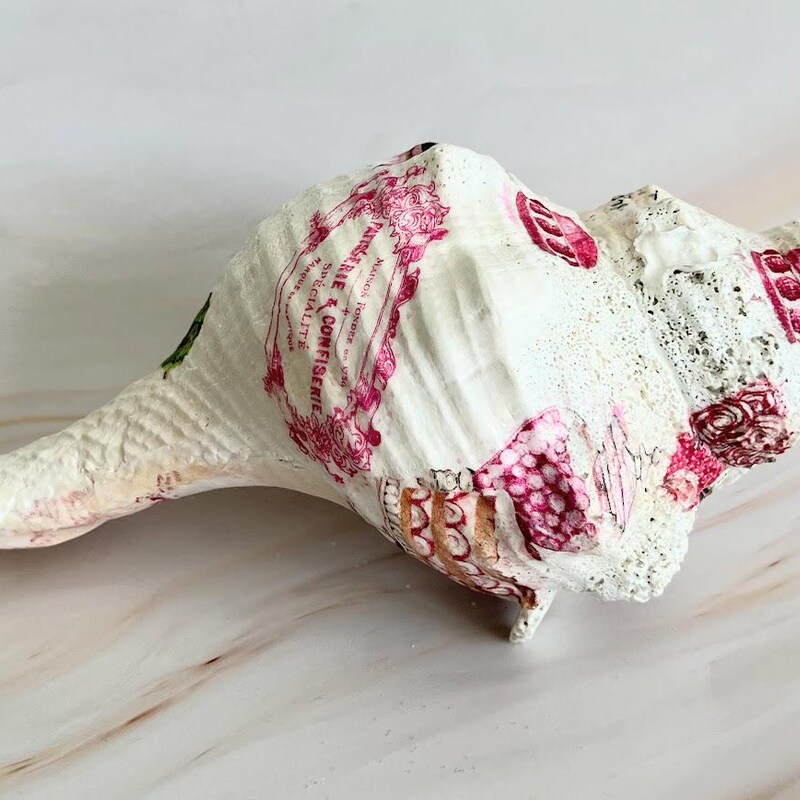 Decoupage Conch Shells - Etsy