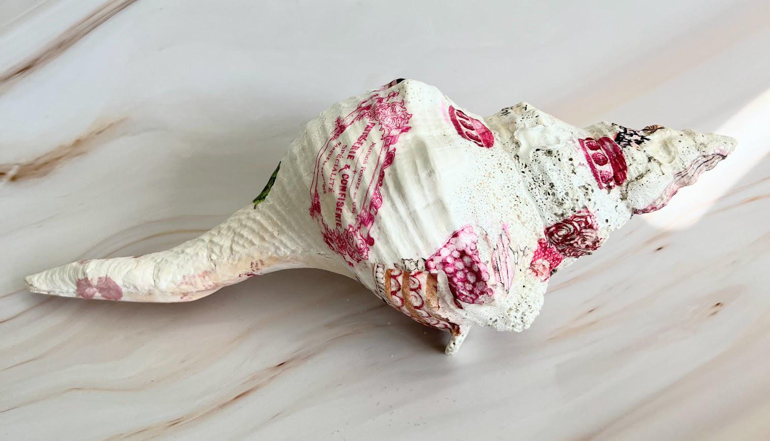 Horse Conch Shell XL Coffeetable, Shelf Art, Unique, Pink, White, Beach ...