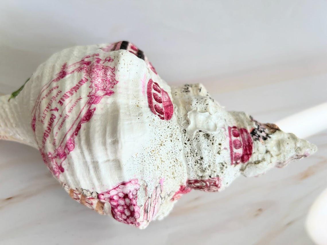 Horse Conch Shell XL Coffeetable, Shelf Art, Unique, Pink, White, Beach ...