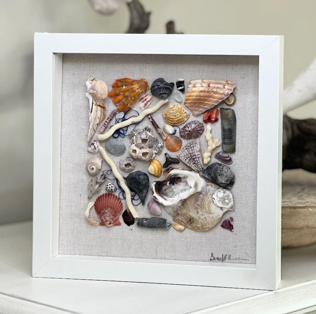 Seashell Wall or Shelf Art, Unique, Colorful, Modern, Florida Beach ...