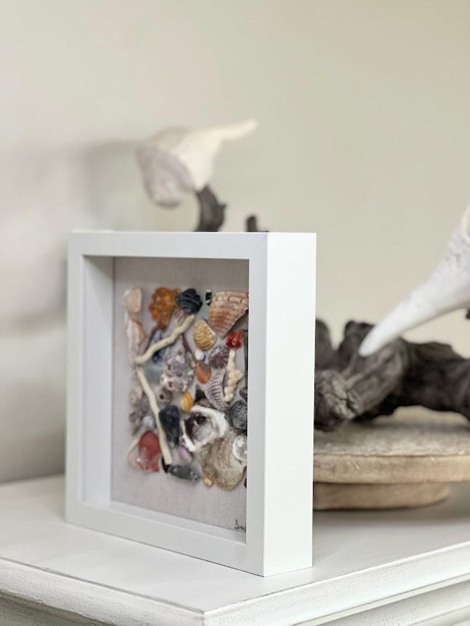 Seashell Wall or Shelf Art, Unique, Colorful, Modern, Florida Beach ...