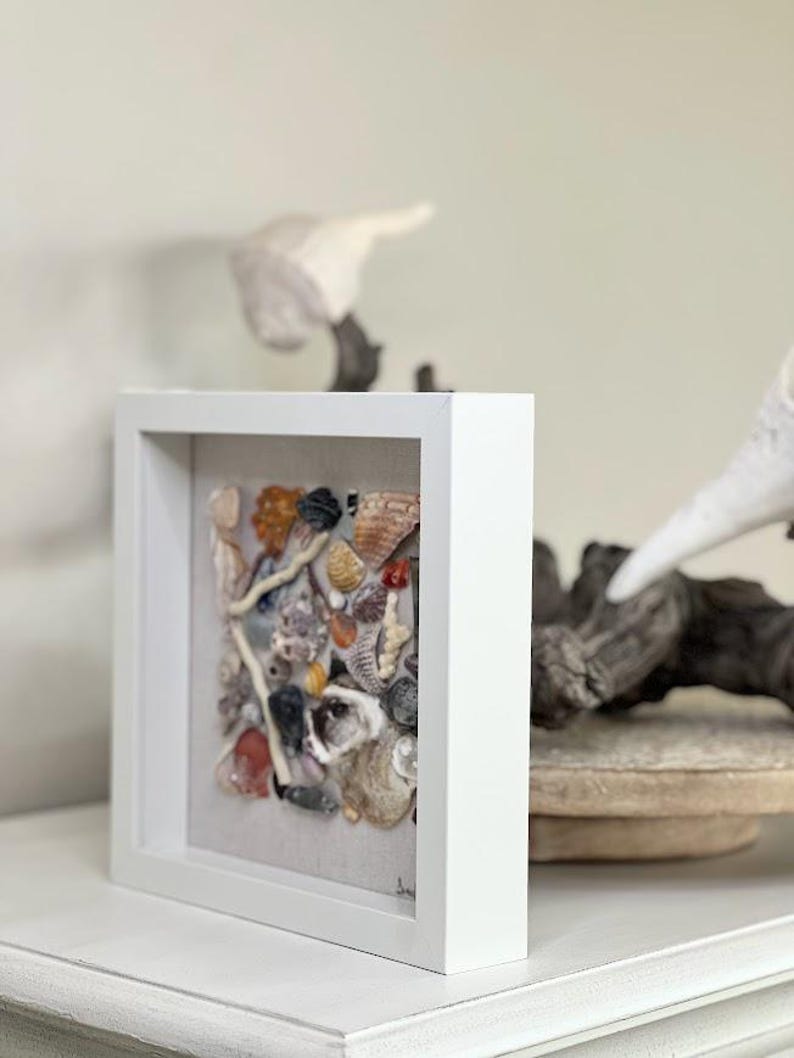 Seashell Wall or Shelf Art, Unique, Colorful, Modern, Florida Beach ...