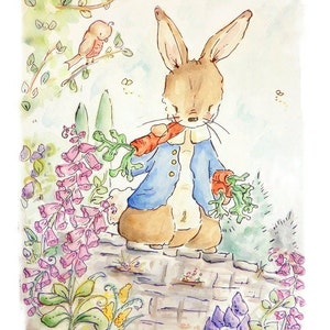 The Peter Rabbit Collection. COLLECTORS EDITION. Print. Nursery Art ...