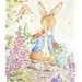 The Peter Rabbit Collection. COLLECTORS EDITION. Print. Nursery Art ...
