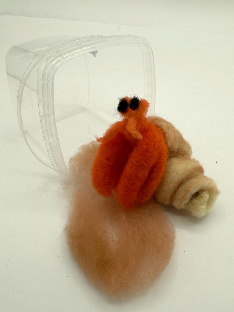 Needle Felt a Hermit Crab - Etsy