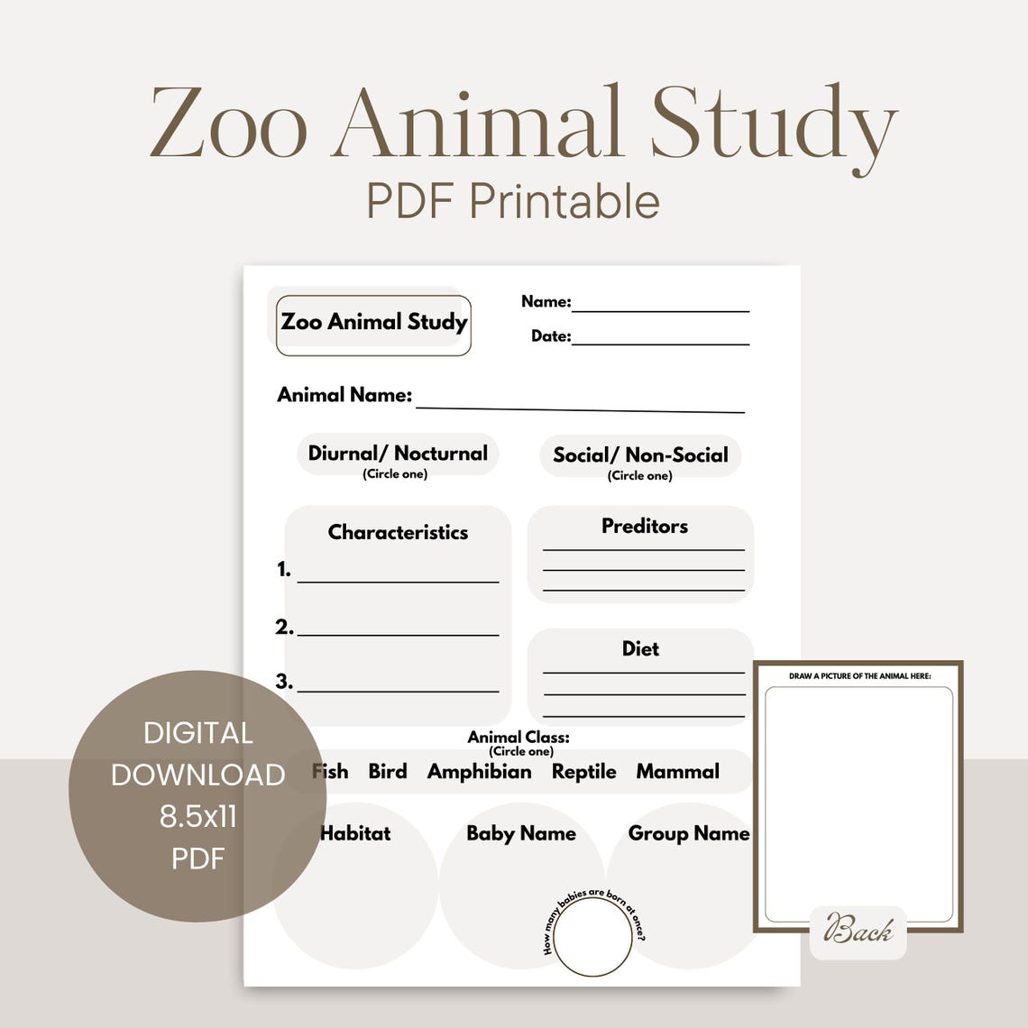Zoo Animal Study Worksheet Printable Homeschool Learning Resources ...