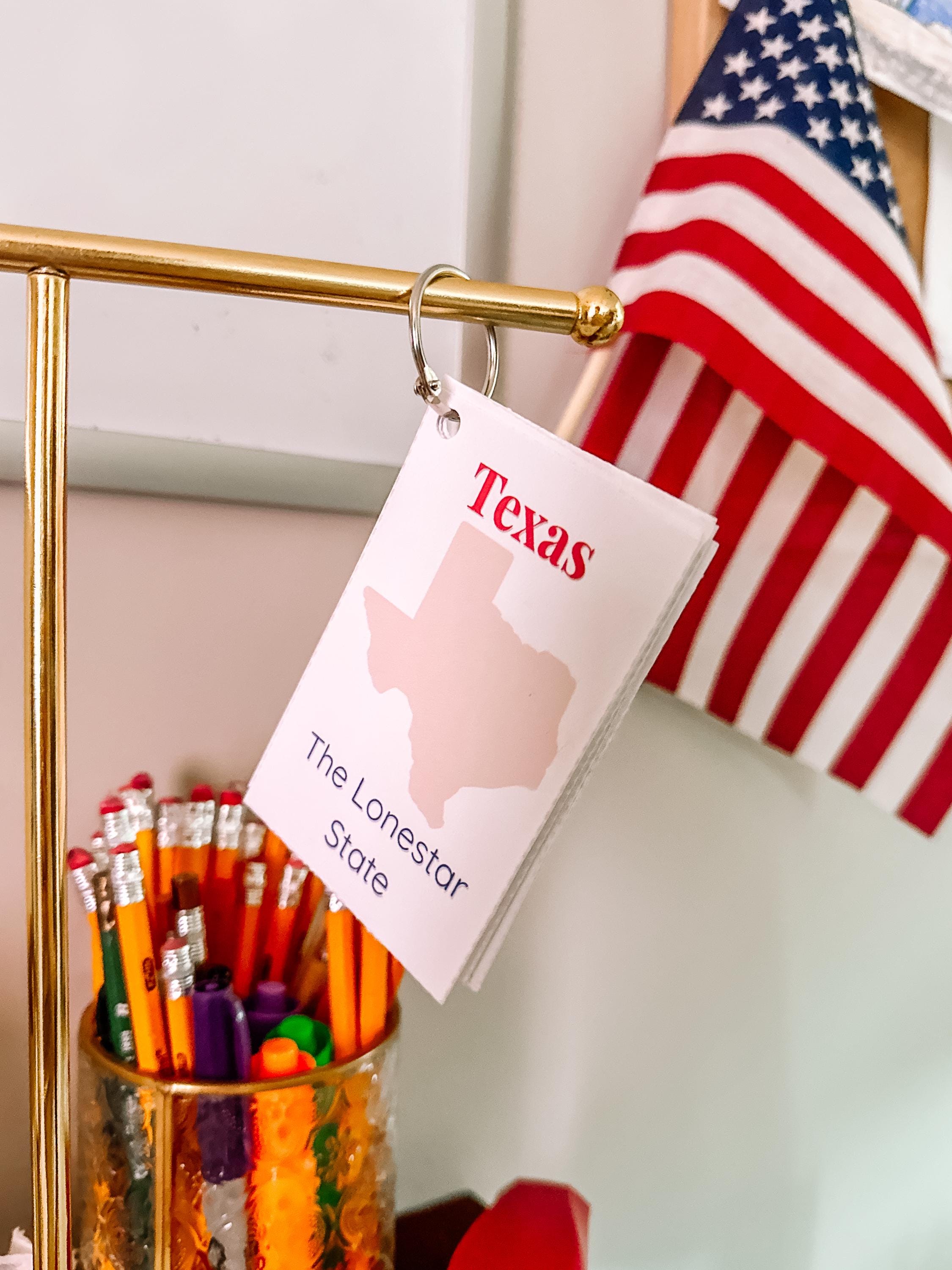 Texas State Booklet | State Unit Study | Road Trip Roadschool ...