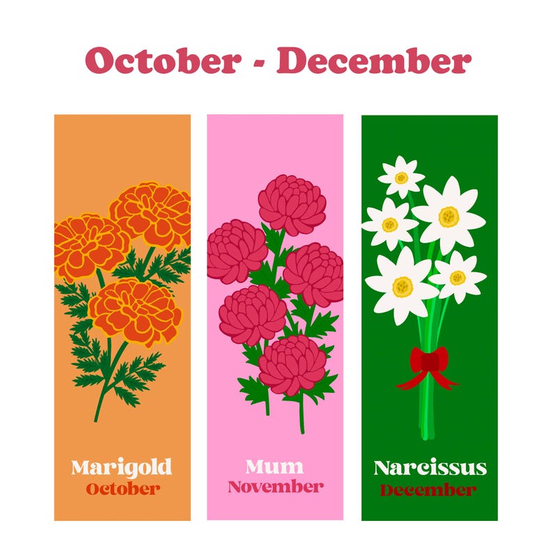 Birth Month Flower Bookmarks: Printable Floral Designs (PDF Download ...