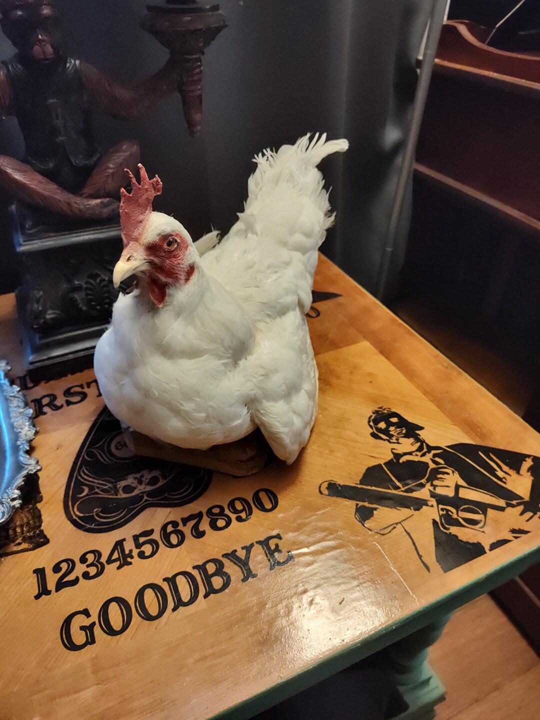 Vintage Taxidermy Chicken Odd Rare Oddities Bird - Etsy