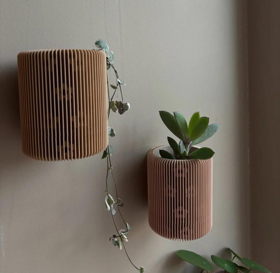 Flower Pattern Wall Mounted Planter With Removable Drip Tray. - Etsy