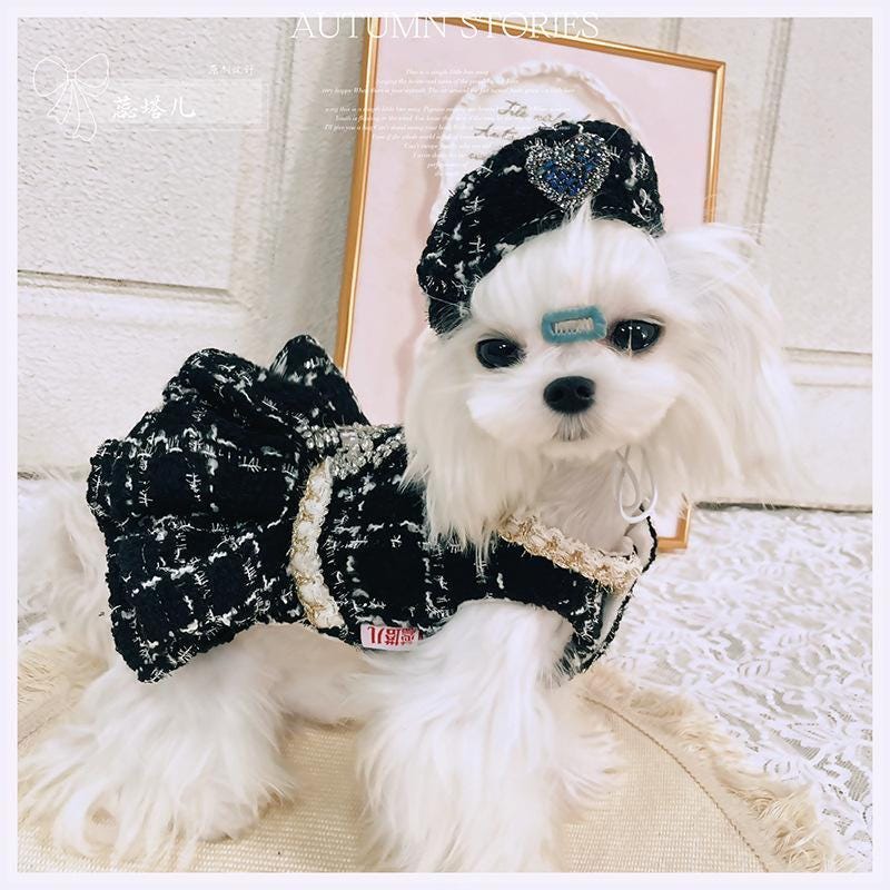 Chanel Dog - Etsy
