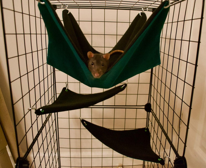 Rat Hammock Set - Etsy