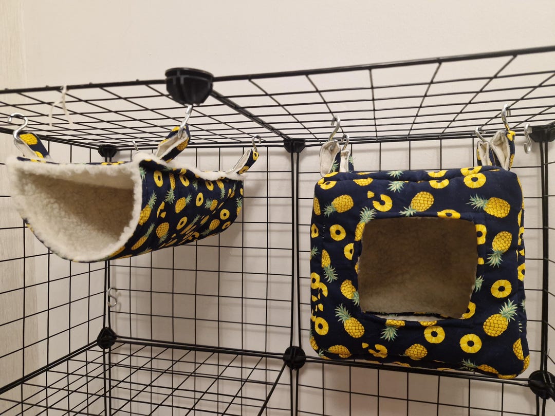 Tube N Cube Set (available Individually) for Rats and Other Small ...