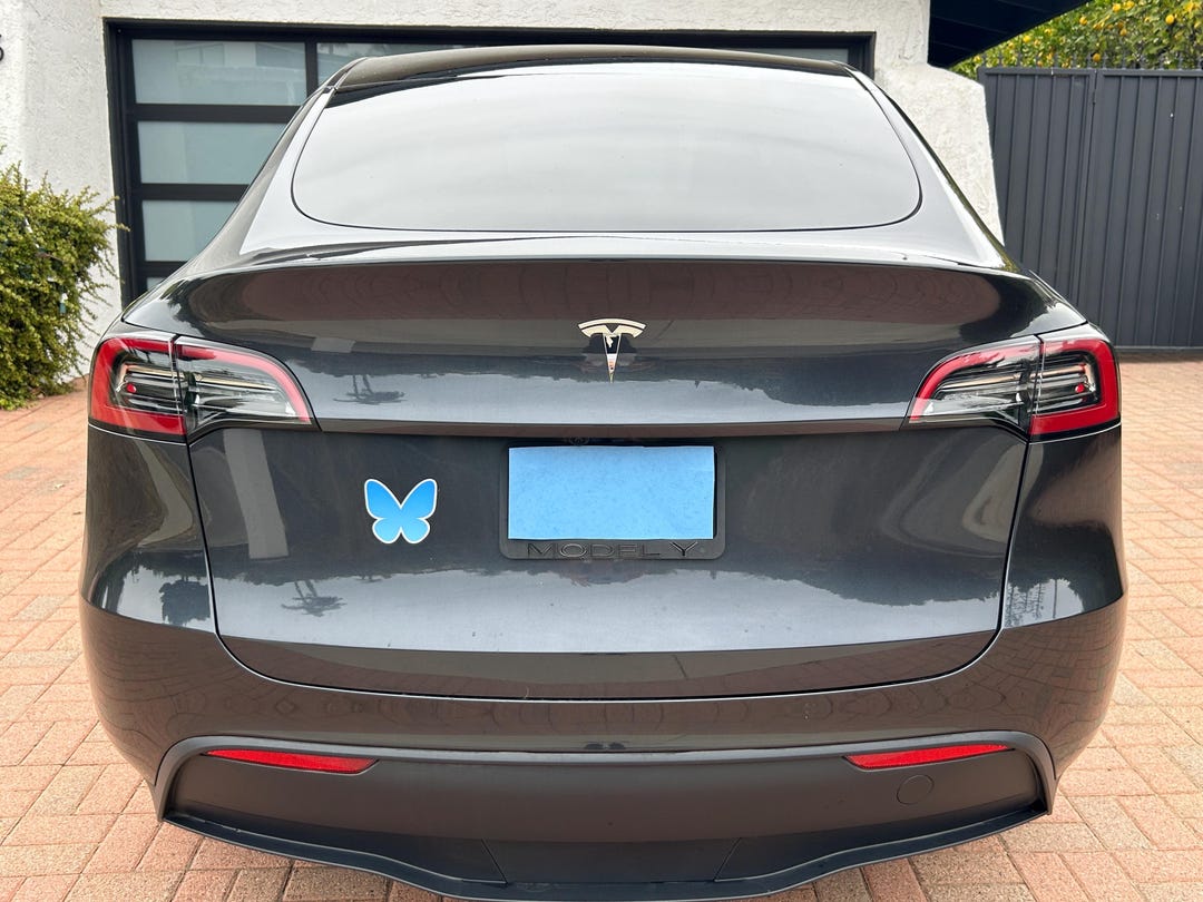 Anti Elon Musk Tesla Car Magnet - Bluesky Logo - Etsy