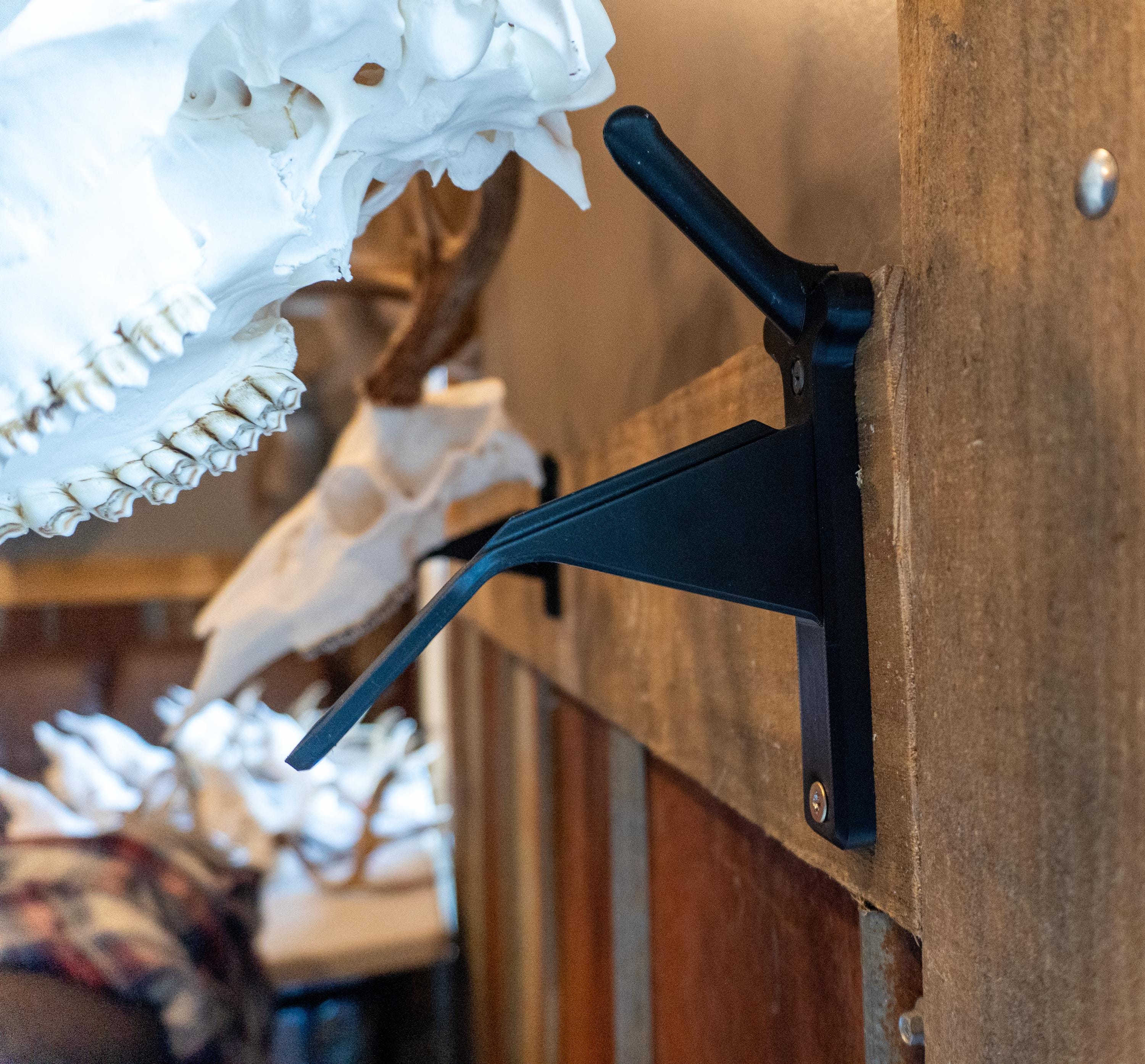 European Deer Skull Mount Hanger - Etsy