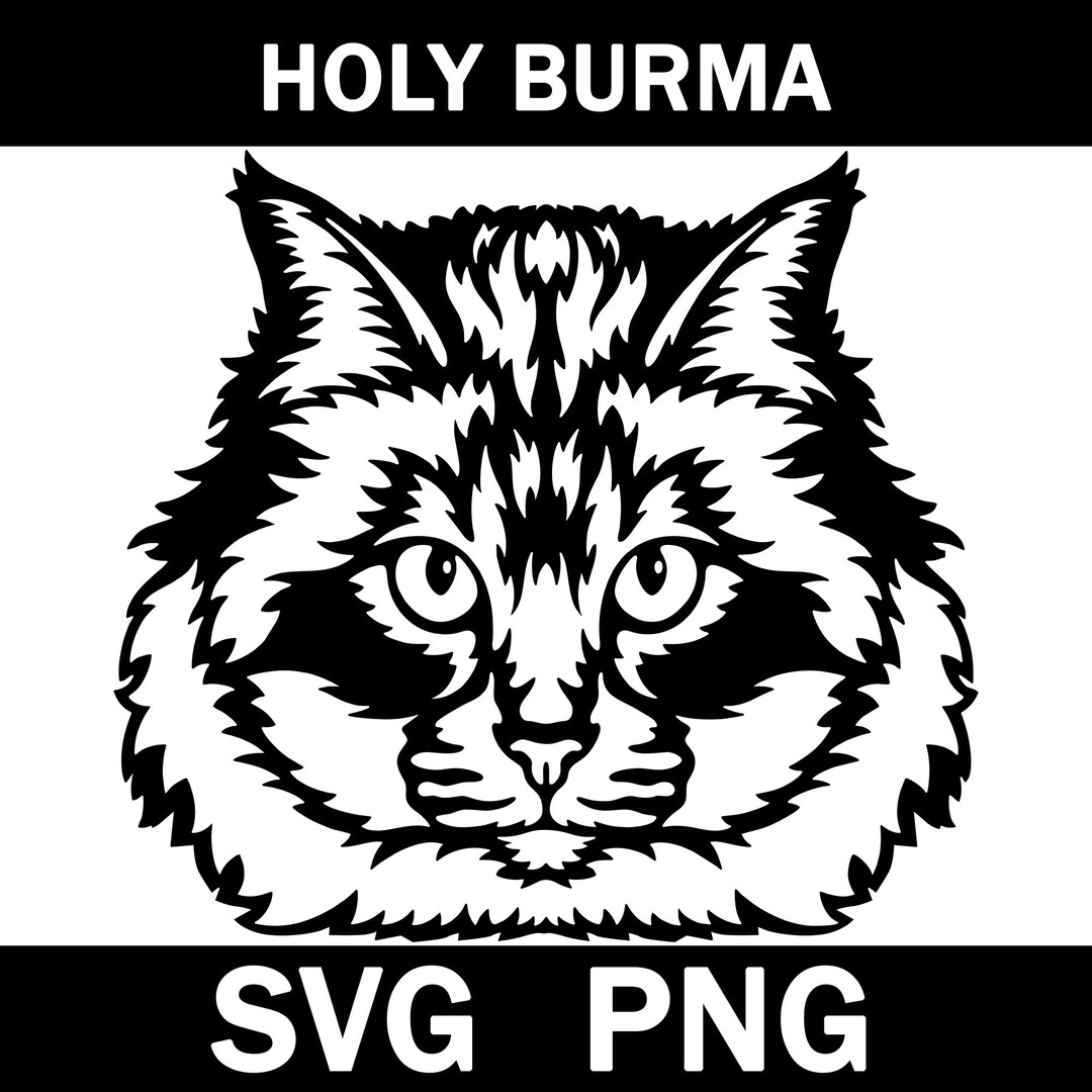 Holy Burma Peeking Cat Svg, Png, Vector, Cricut, Clipart, Instant ...