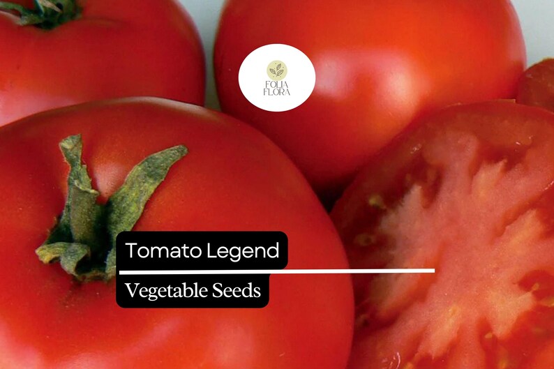 Tomato Legend Seeds 100mg Solanum Lycopersicum Non-gmo, Early Harvest ...