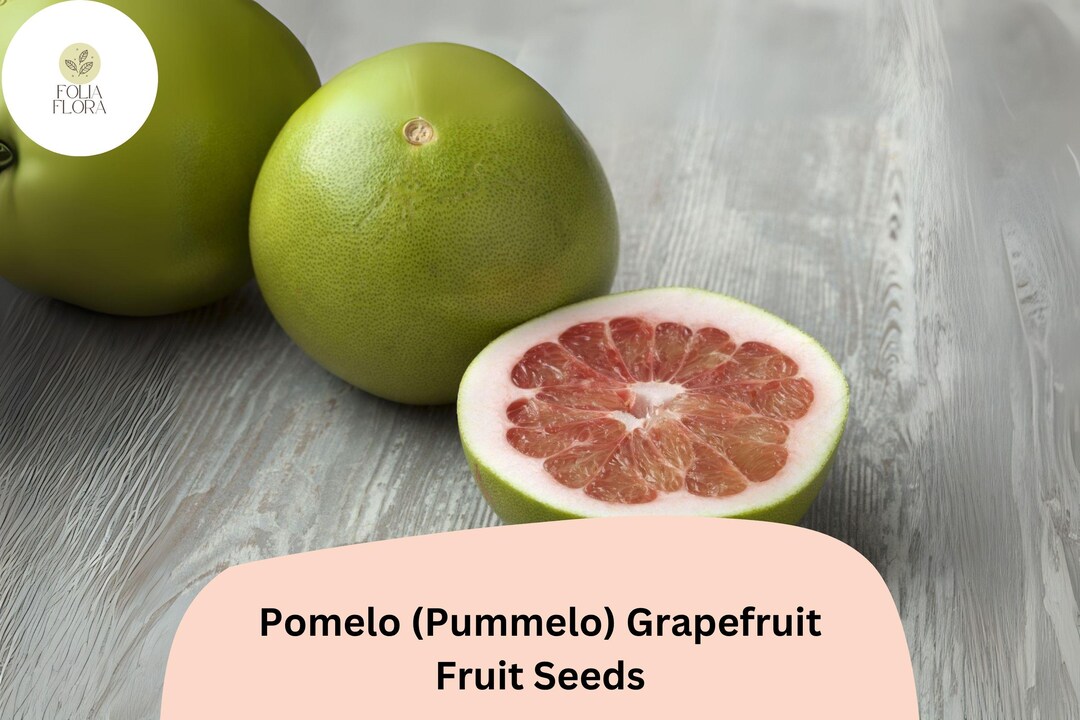 Pomelo (citrus Maxima) Seeds | Sweet-tart Giant Fruit Tree - Etsy