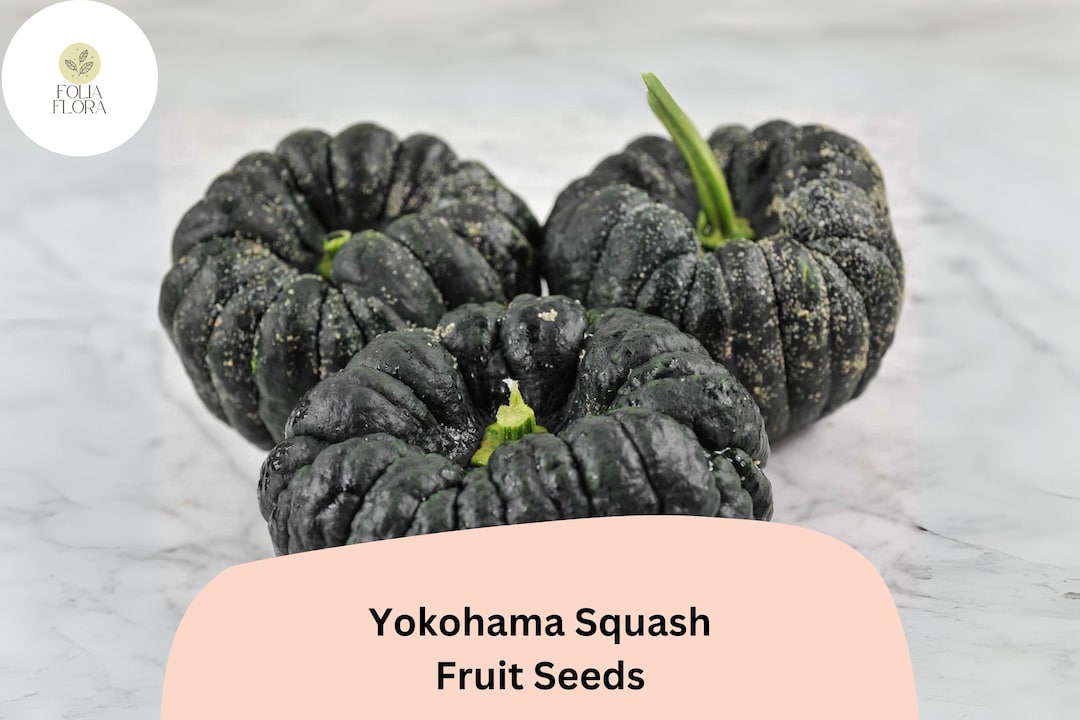 Japanese Squash Seeds