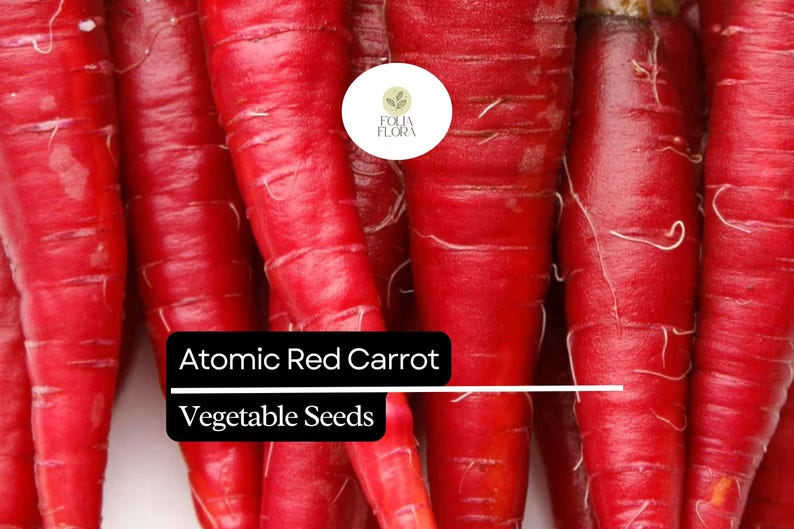 Atomic Red Carrot Seeds – Sweet & Nutrient-rich Variety - Etsy