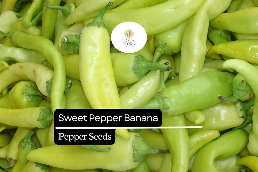 25 Sweet Banana Pepper Seeds – Capsicum Annuum – Heirloom, Mild & Sweet ...