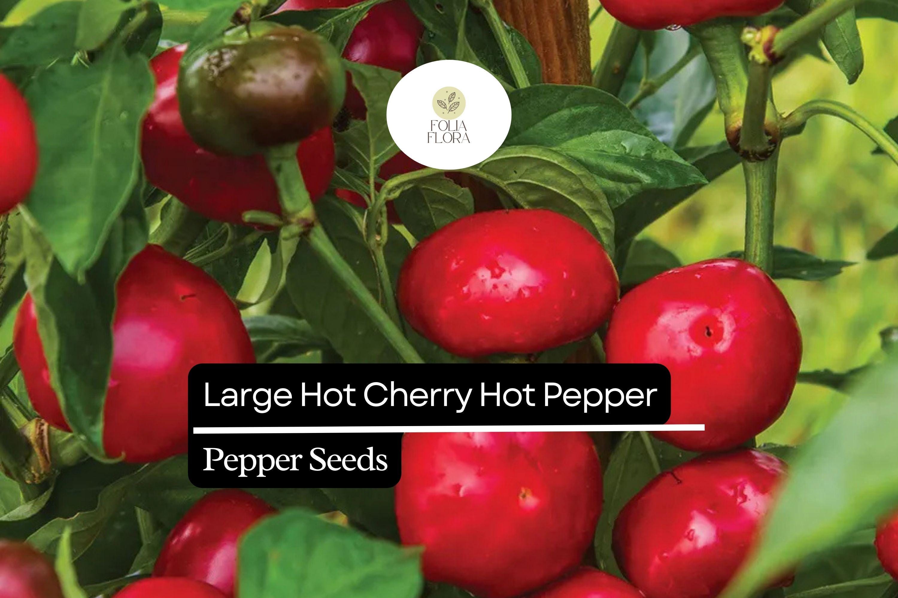 250mg Large Hot Cherry Pepper Seeds Capsicum Annuum | Medium-hot, Non ...