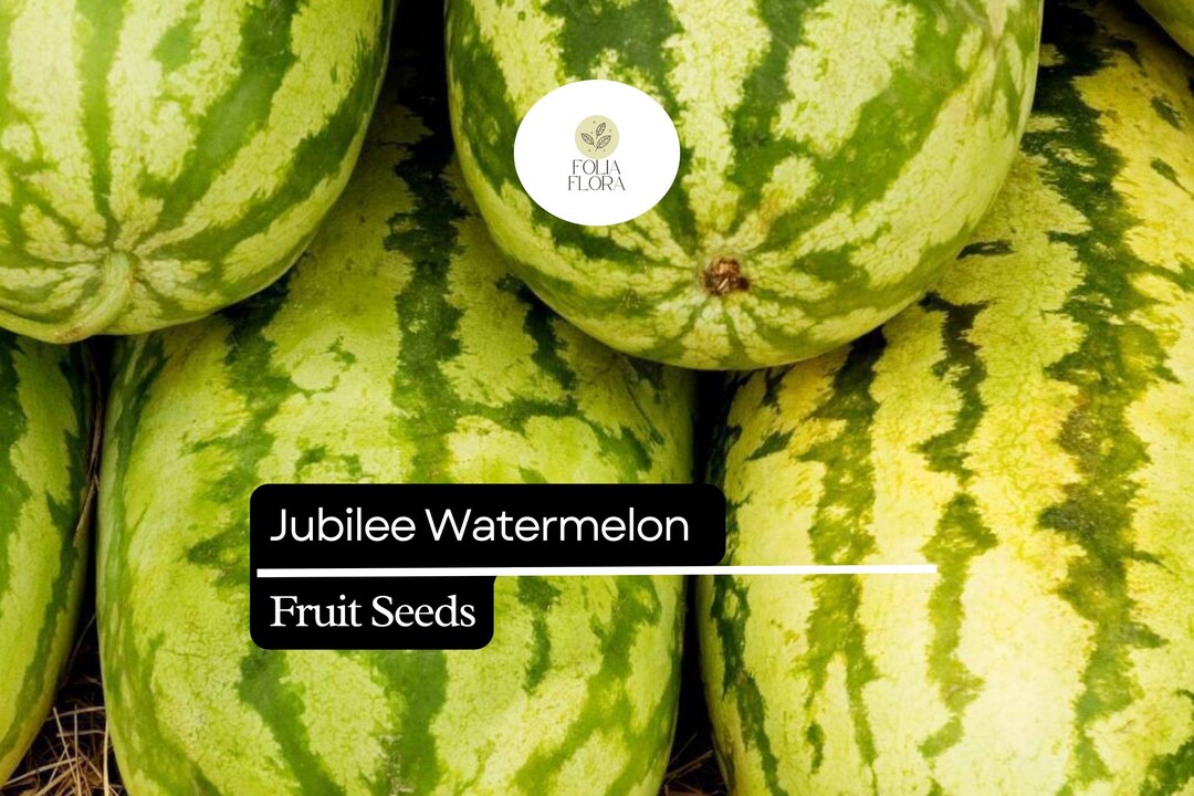 5 Seeds Jubilee Watermelon (citrullus Lanatus) – Sweet, Juicy, Striped ...