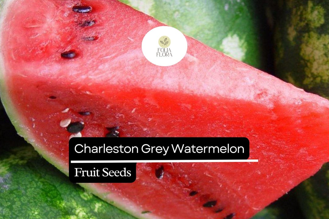 20 Seeds Charleston Grey Watermelon (citrullus Lanatus) – Sweet, Juicy ...