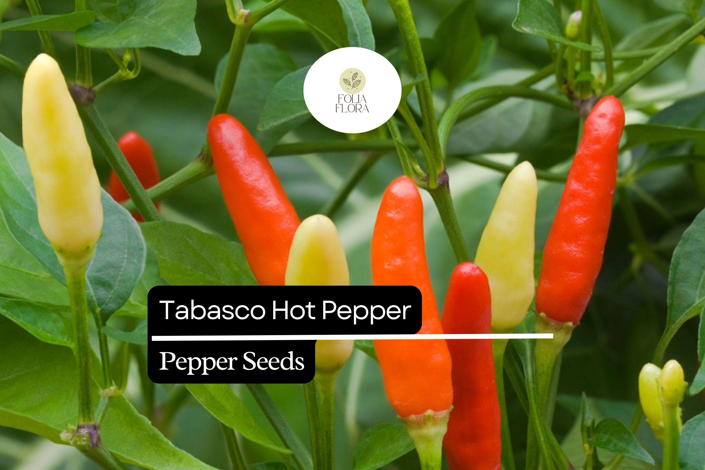 250mg Tabasco Hot Pepper Seeds Capsicum Frutescens Medium-hot Heirloom ...