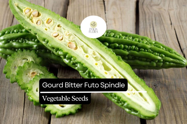 5 Seeds Bitter Gourd Futo Spindle Momordica Charantia | Heirloom, Non ...