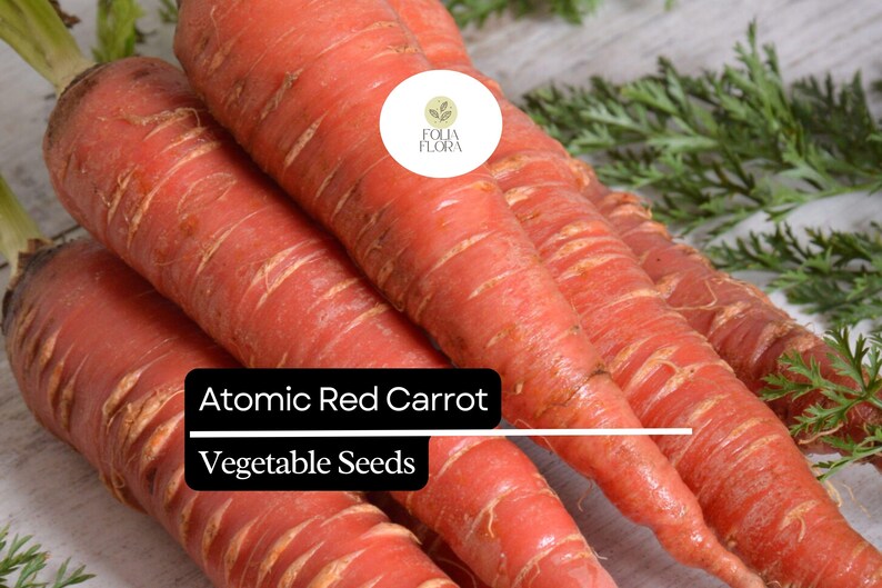 Atomic Red Carrot Seeds – Sweet & Nutrient-rich Variety - Etsy