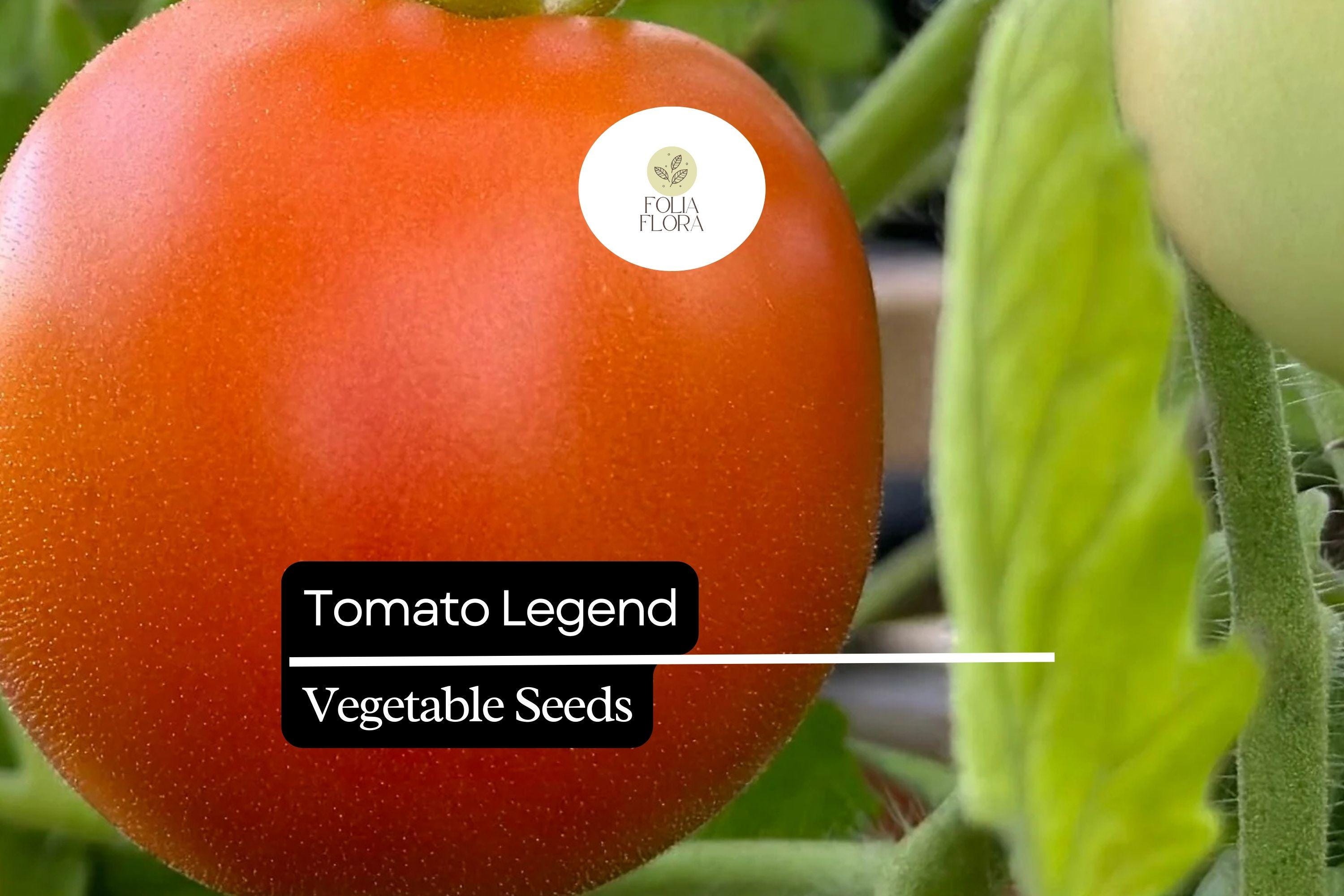 Tomato Legend Seeds 100mg | Solanum Lycopersicum | Non-gmo, Early ...