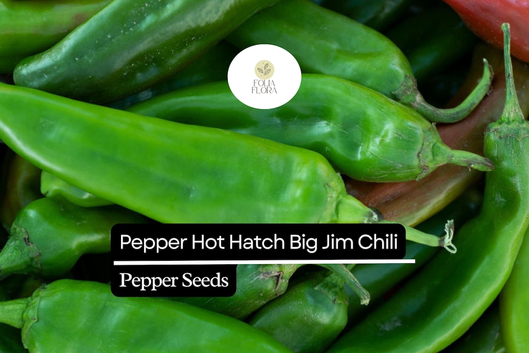 Big Jim Hatch Chili Pepper Seeds | Non-gmo, Mild-medium Heat (300mg) - Etsy