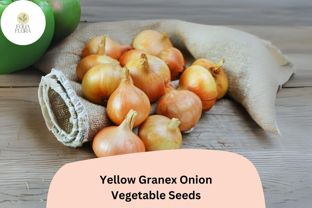 Yellow Granex Onion Seeds | Sweet Garden Variety (500+ Seeds) - Etsy