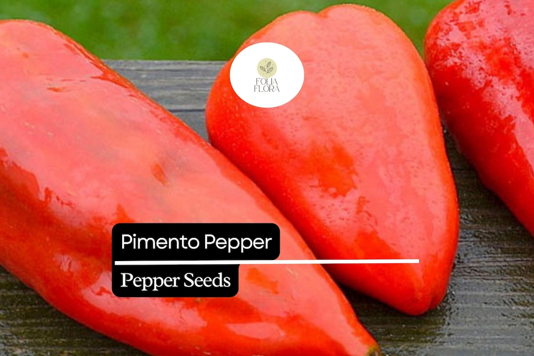 25 Seeds Pimento Pepper (capsicum Annuum) – Sweet and Mild Heirloom ...