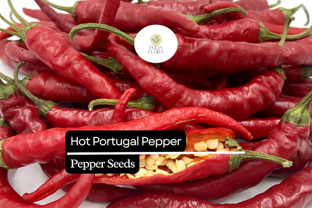 25 Hot Portugal Pepper Seeds – Capsicum Annuum – Heirloom Chili, Medium ...