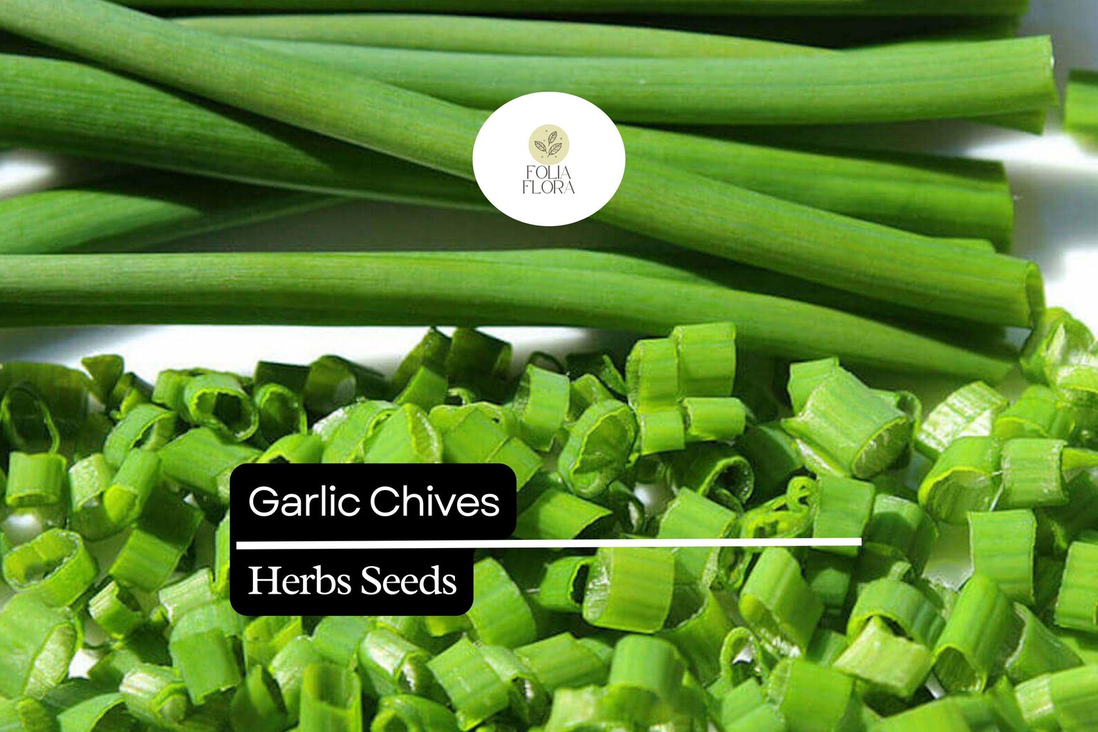 300mg Garlic Chives Seeds Allium Tuberosum | Heirloom, Non-gmo ...