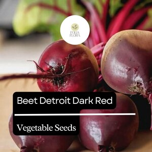 1g Beet Detroit Dark Red Seeds Beta Vulgaris | Heirloom Sweet Beets for ...