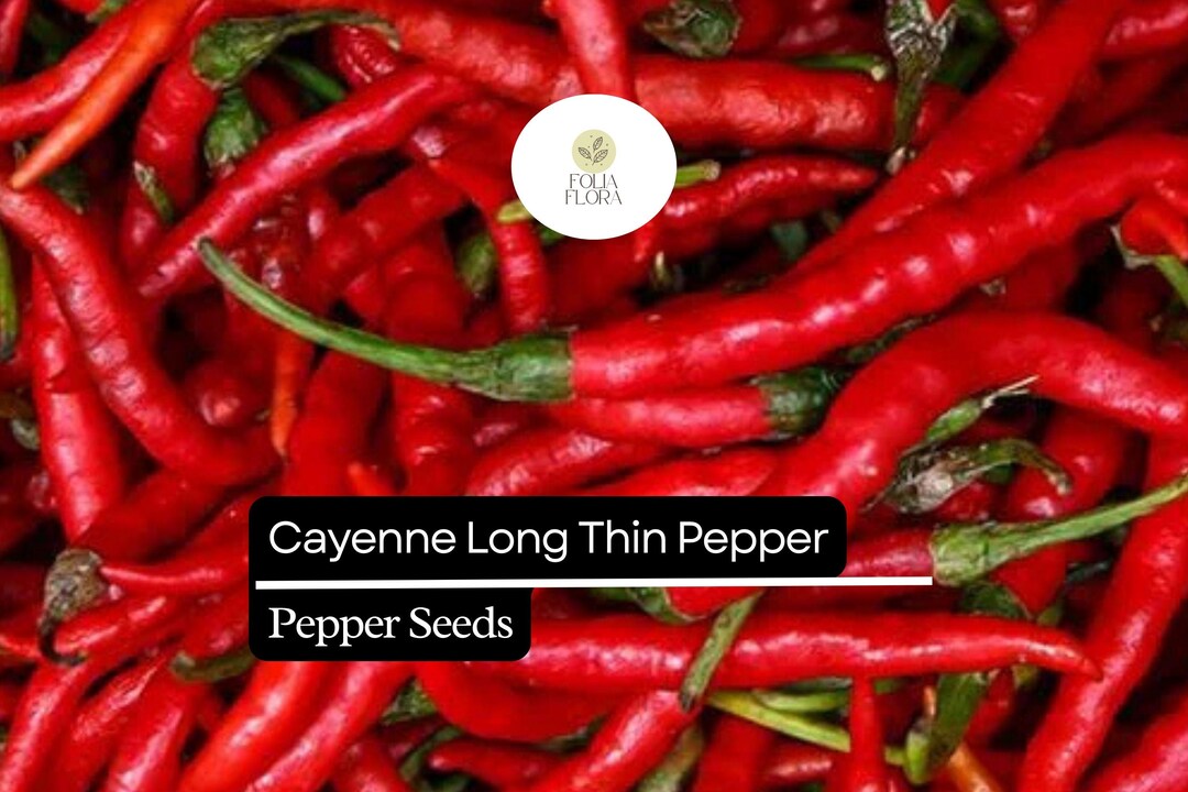 30 Seeds Cayenne Long Thin Pepper, Capsicum Annuum, Spicy Chili for ...